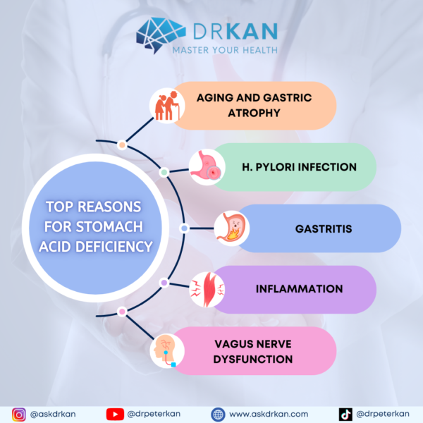 3 Key Digestive Secretions to Optimize for Improved Digestion - Hope ...